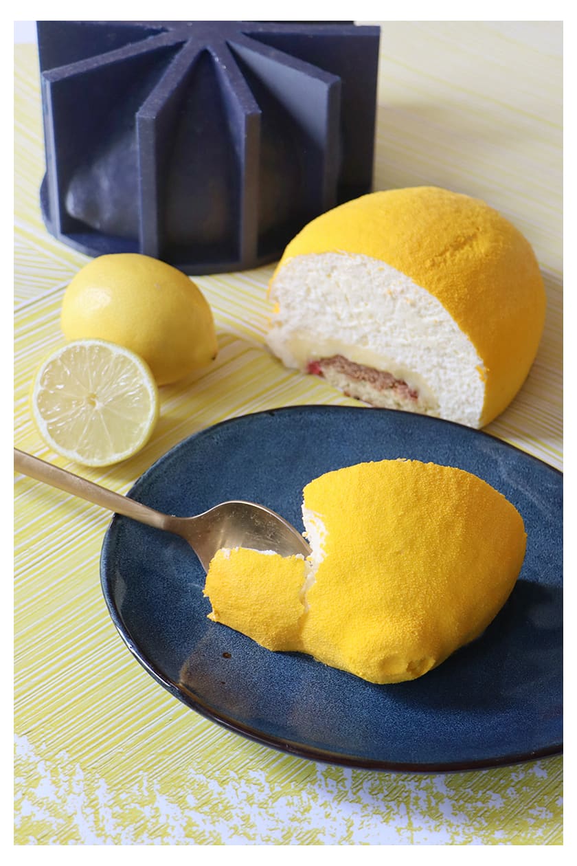 XL Lemon Silicone Mould - 16 x 11,5cm - Déco Relief - Meilleur du Chef