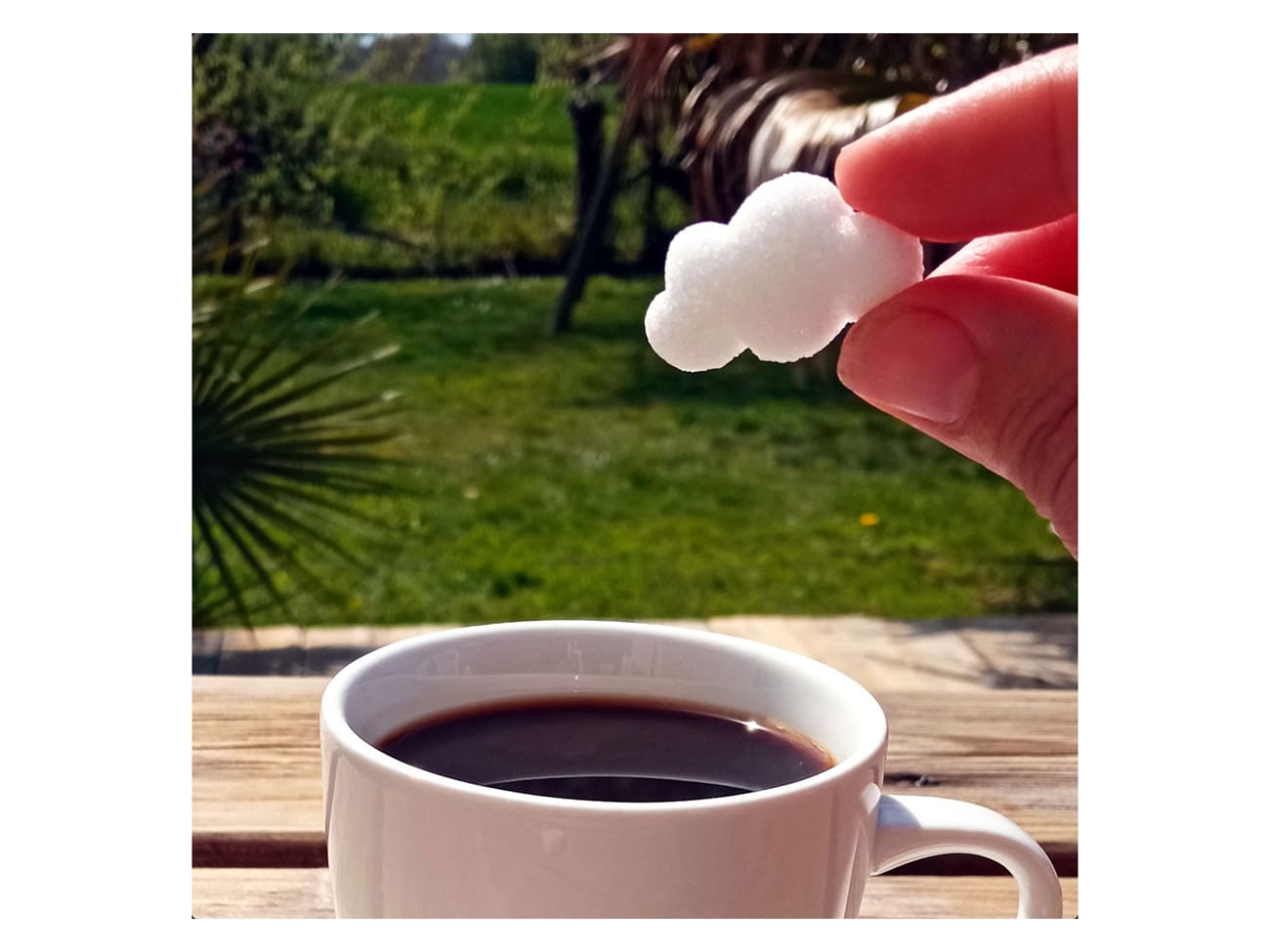 Sugar Box - 8 mini clouds - Ercus Sucre - Meilleur du Chef