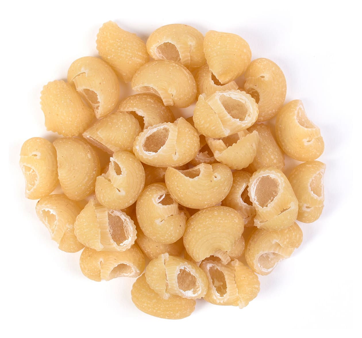 Shell pasta - 400g - Les Belles D'Antan - Meilleur du Chef