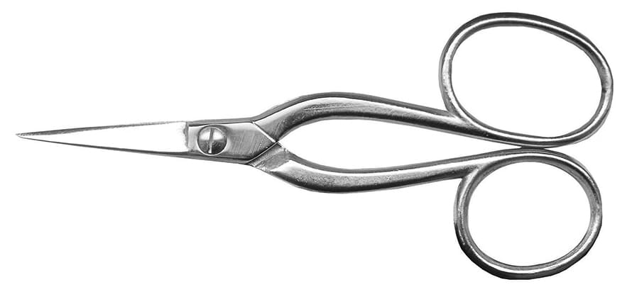 Sea Urchin Scissors - Meilleur du Chef