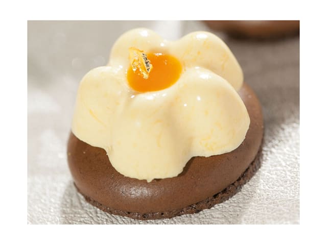 Flexipan molds - Online shop for professional Flexipan silicone moulds ...