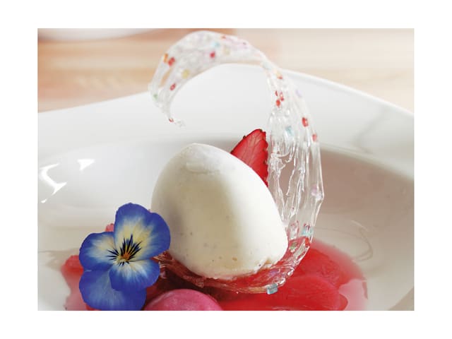 Quenelle mould - Meilleur du Chef