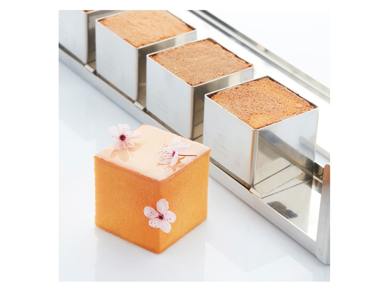 Stainless steel Rail - 5 mini cubes - 6 x 6cm - Martellato - Meilleur ...