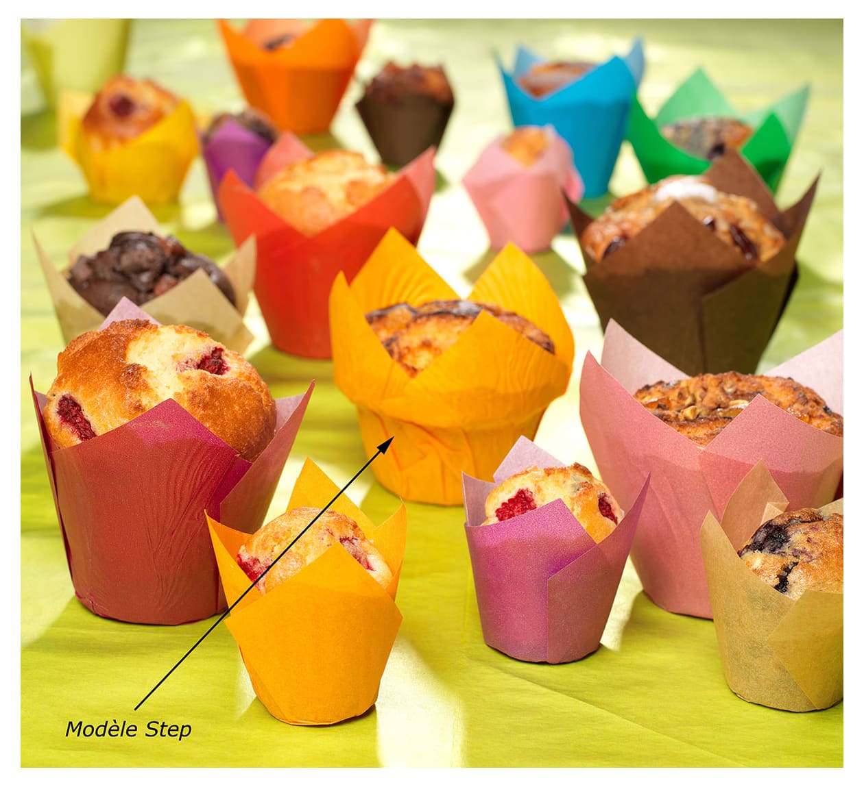 Tulipcup brown cases (x 200) - straight - Ø 5 x Ht 9.5 cm - Nordia ...