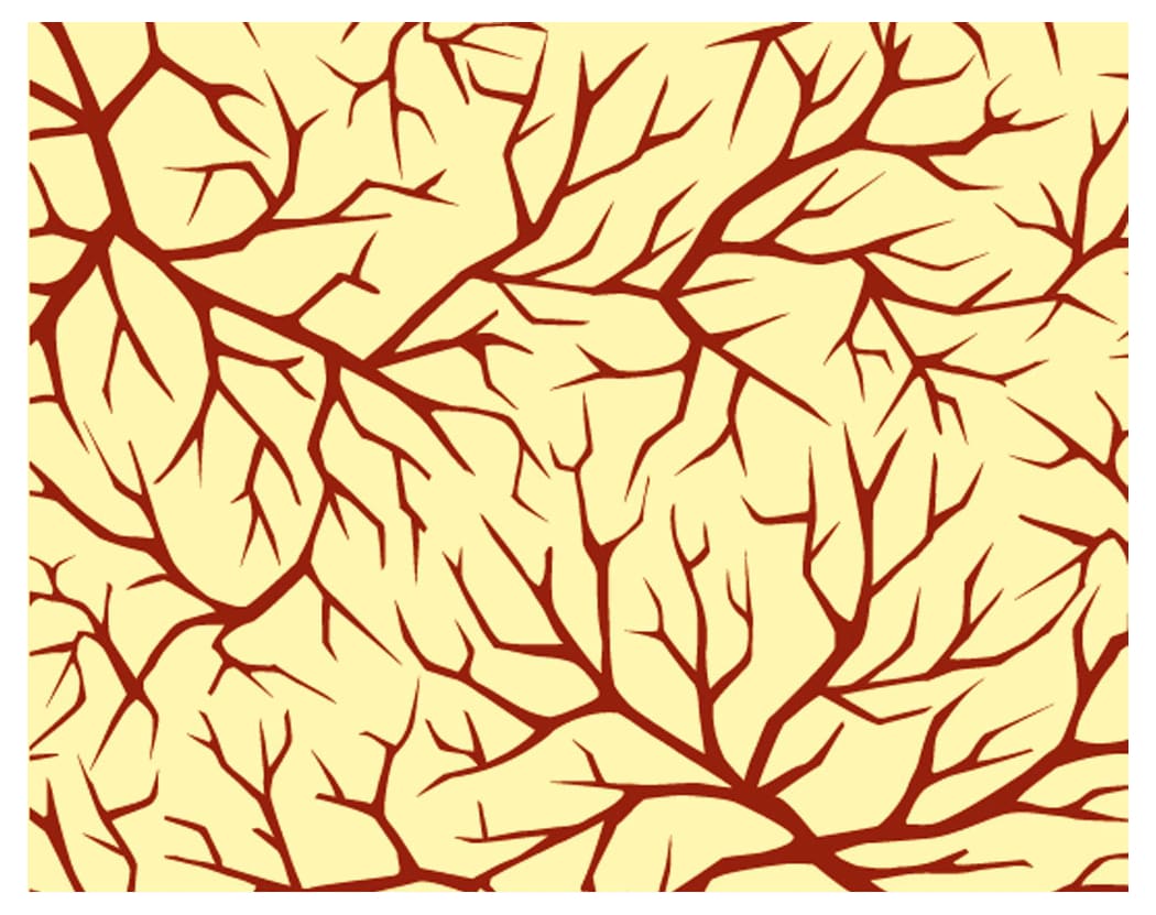 Chocolate Transfer Sheet - Tree branches - Pack of 5 - Pavoni ...