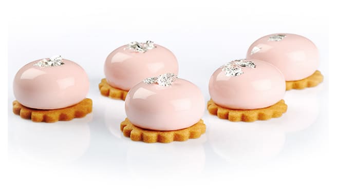 Pavoflex Non-Stick Silicone Mould - 30 Planet Mignon Discs - 40 x 30cm ...