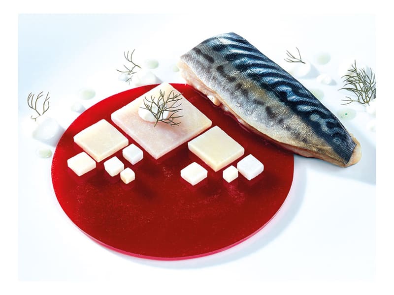 Pavoni Gourmand Silicone Mould - 6 Large Discs - Pavoni - Meilleur du Chef