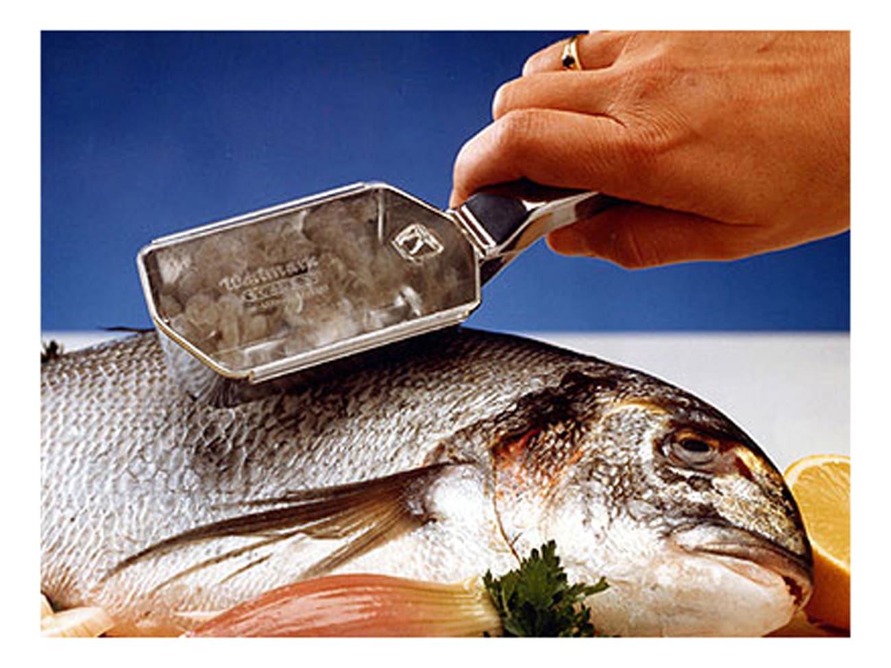 Scalex Professional Fish Scaler - Westmark - Meilleur du Chef