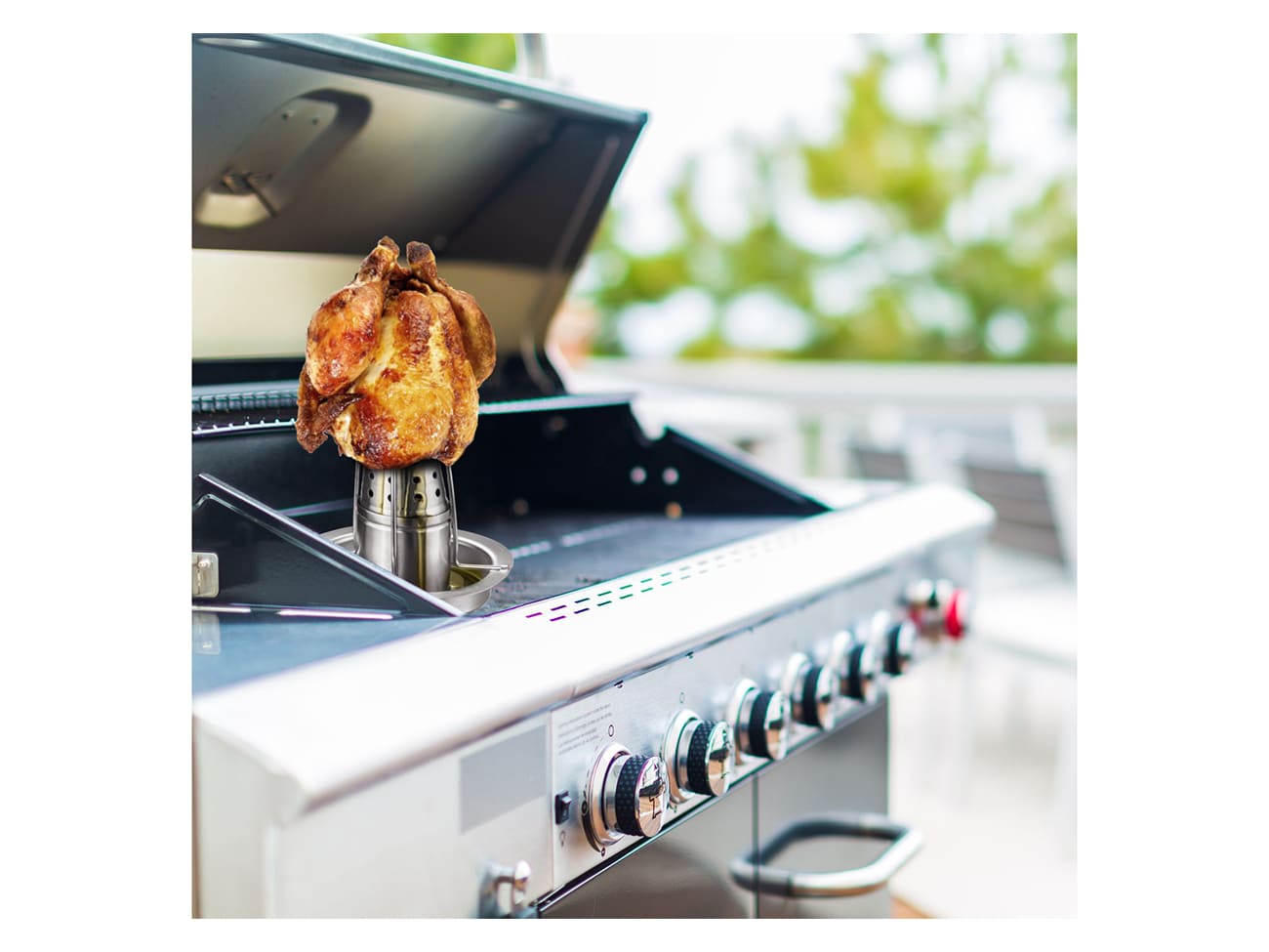 Stainless Steel Chicken Roaster - Ø 17,5 x ht 23cm - Westmark ...