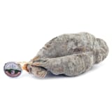 Saucisson Jésus du Pays Basque - minimum 500 g - Pierre Oteiza ...