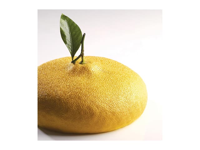 Moule silicone Citron - format tartelette - Par Cedric Grolet - Pavoni ...
