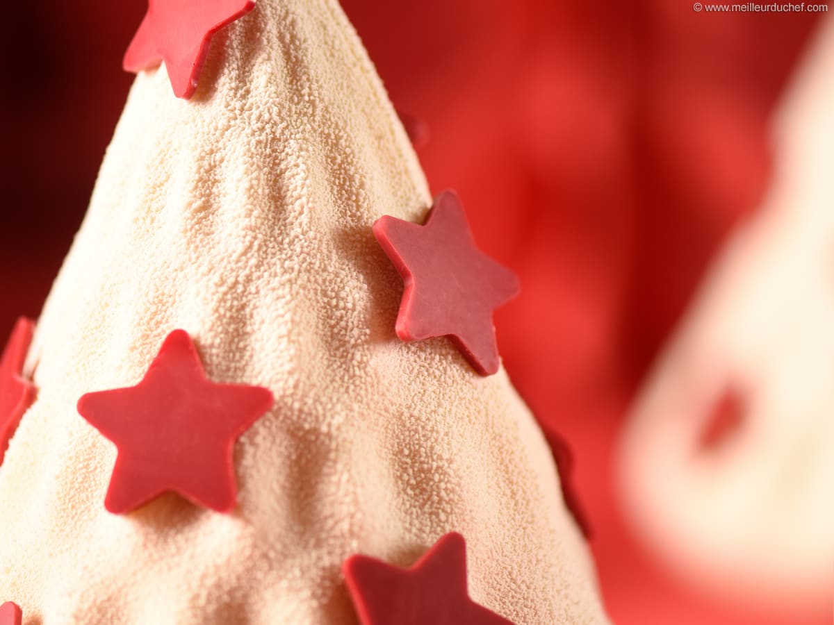 Christmas Tree Entremets with Redcurrant, Blackcurrant & Vanilla ...