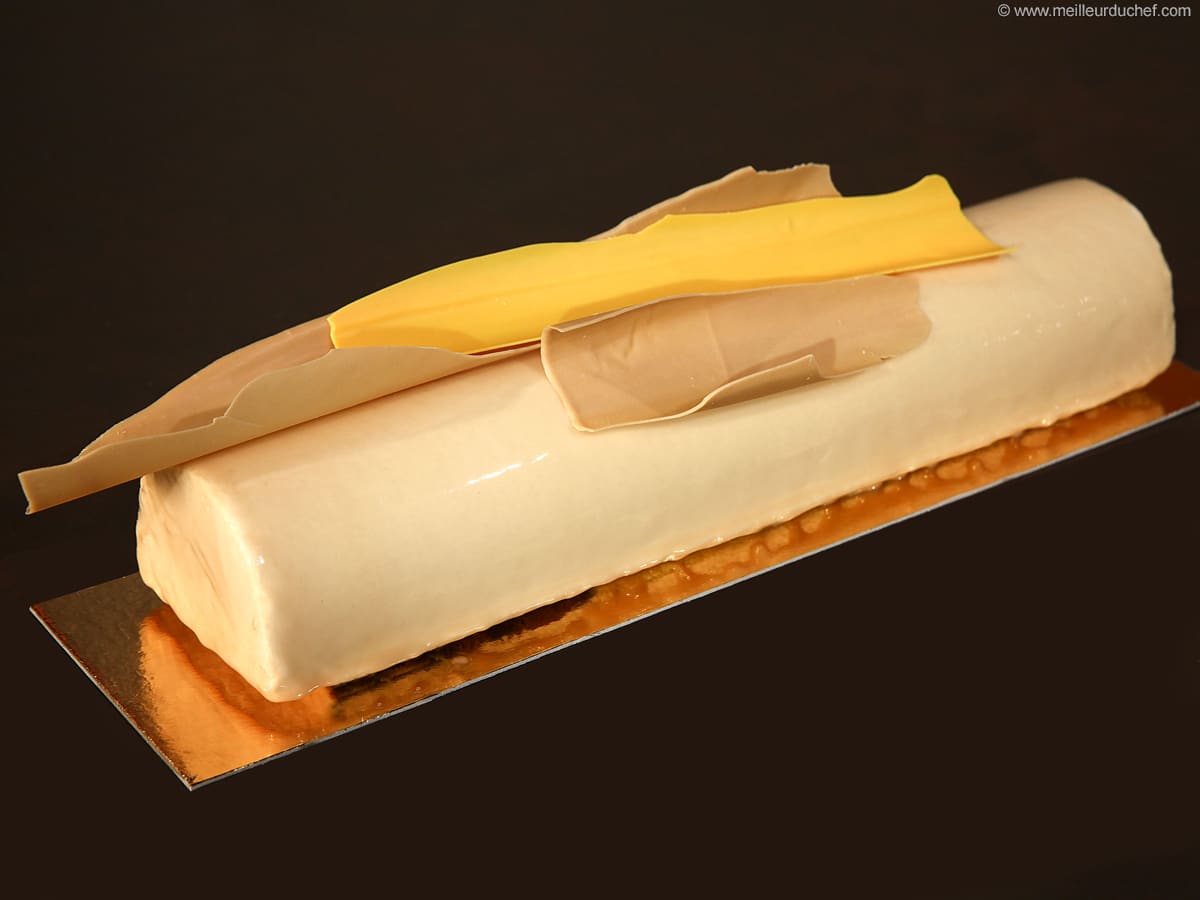 Caramelized White Chocolate & Apricot Yule Log - Illustrated recipe ...
